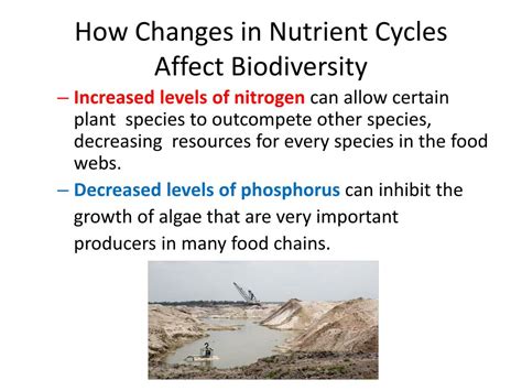 Ppt Nutrient Cycles Powerpoint Presentation Free Download Id4106350