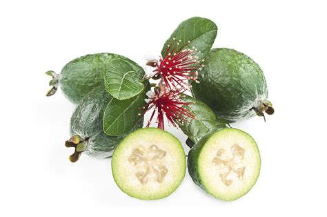 Anfic Fruit Tree Varieties Anfic The Australian Nurserymens Fruit