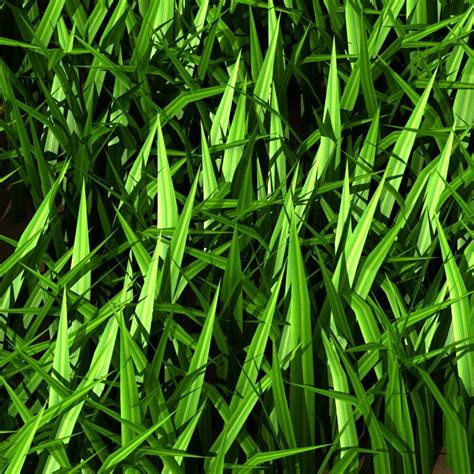 Grass Background Tile