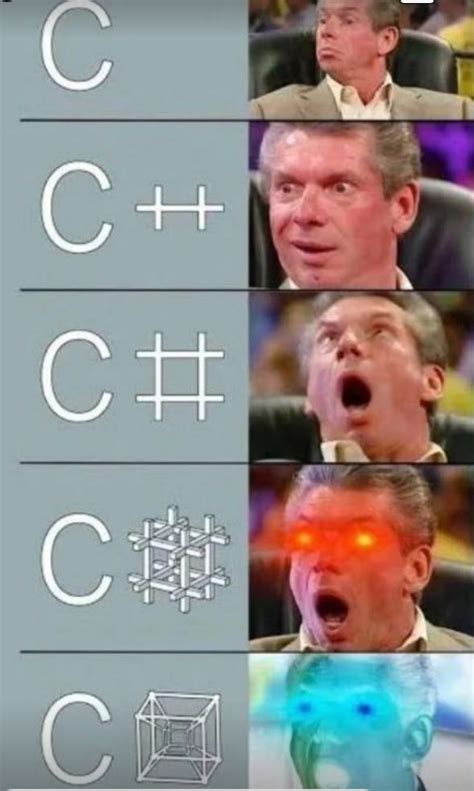 The Ascension Of C Based Languages ·