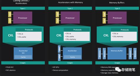 Cxl崛起：2024启航，2025年开启新时代 Csdn博客