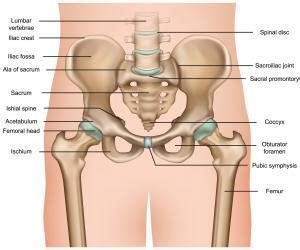 Femoroacetabular Impingement Jacksonville Orthopaedic Institute