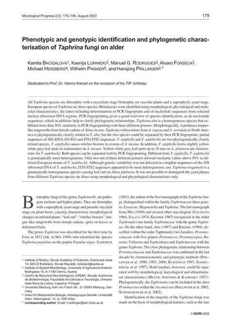 Pdf Phenotypic And Genotypic Identification And Phylogenetic Characterisation Of Taphrina