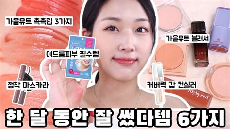5년차 코덕이 한 달 동안 잘 쓴템 모음zip 가을뮤트 블러셔and립 여드름 패치 컨실러 추천 아이돌 속눈썹 삼각존 브러쉬 추천하네 1 Youtube