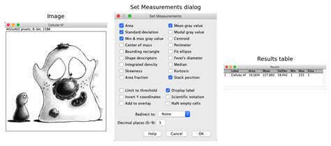 imagej measuring area measurements and regions of interest · analyzing