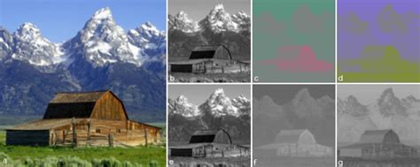 c how to update in detailsview in web forms using entity framework 4 0 stack overflow