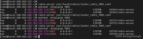 redis cluster模式部署 程序猿dd