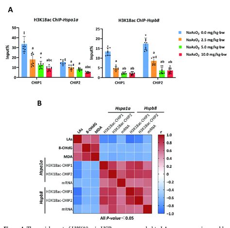 the enrichment of h3k18ac in hsp genes responded to la gene