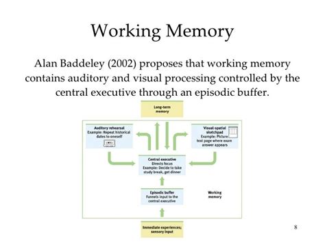 chapter 9 ap psych memory