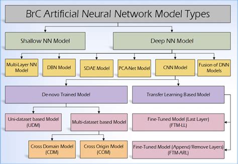 Type Of Anns Used For Brc Classification And Grading Download Scientific Diagram