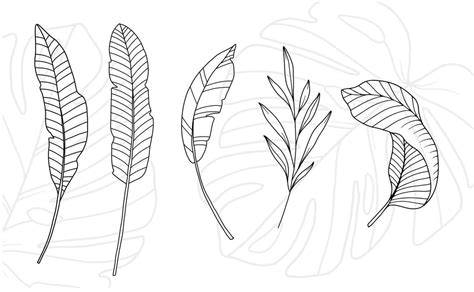 Tropical Leaf Outline Vector Art Icons And Graphics For Free Download