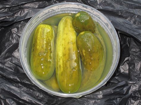 Flying Monkey Travels Pickle Porn