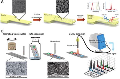 Combined Techniques For Small Molecule Detection A Combination Of Download Scientific