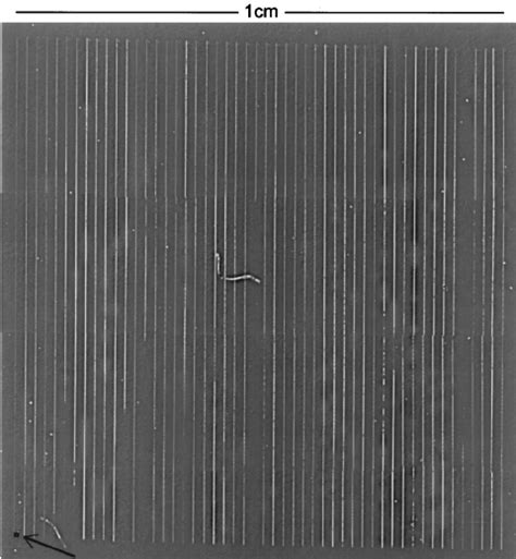 50 ϫ 1 parallel afm lithography over 1 cm 2 the lithography was