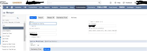 box for netsuite subtab is not shown at netsuite after configuration