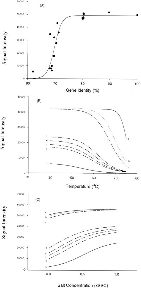 Effects Of Sequence Divergence And Hybridization Stringency On Signal Download Scientific