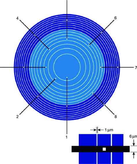 Layout Of The One Layer Electrode Pattern Two Central Zones Shown For