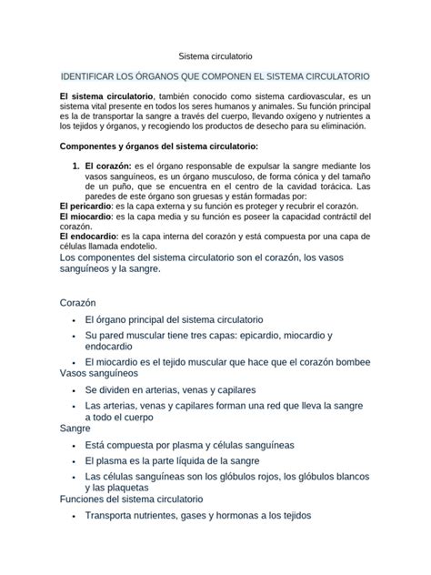 Componentes Del Sistema Circulatorio Pdf Sistema Circulatorio Sangre