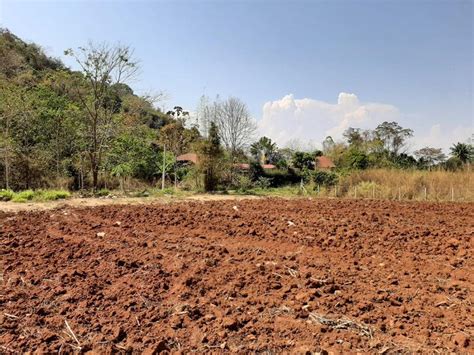 ขายที่ดินวิวเขาสวยๆ เนื้อที่ 2 ไร่ โฉนดพร้อมโอน น้ำไฟพร้อม ที่ดินร้อยแปด คอม