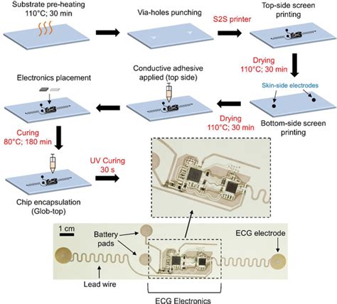 Schematic Diagram Showing The Step‐by‐step Processing To Fabricate The