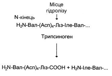Регуляція метаболічних процесів