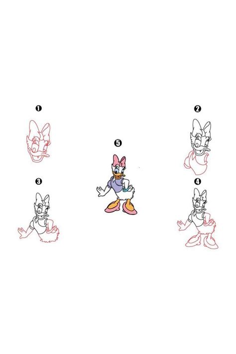 How To Draw Daisy Duck Step By Step Daisy Duck Duck Drawing Cool Drawings