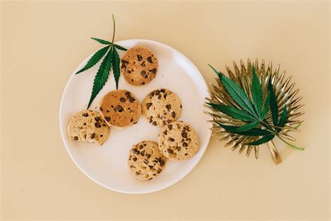 Indica Edibles Vs Sativa Edibles Facts And Details Highburg