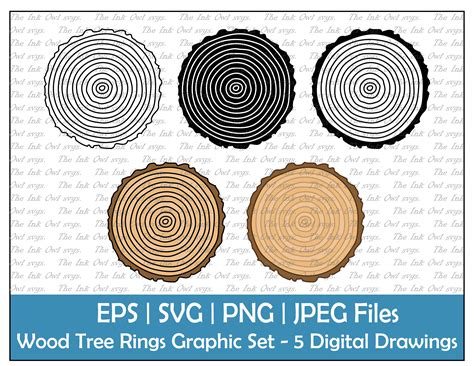 Tree Rings Vector