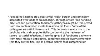 Safe Handling Of Raw Meats PPTX