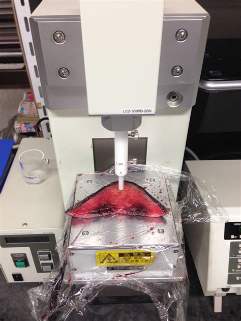 Color Online The Measurement Of Youngs Modulus Using The Creep Meter Download Scientific