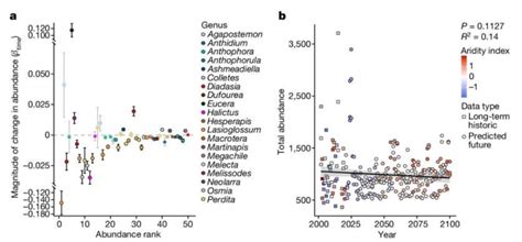 기후 변화에 직면한 꿀벌의 풍요로움에 대한 이해 최근 연구에서 얻은 인사이트