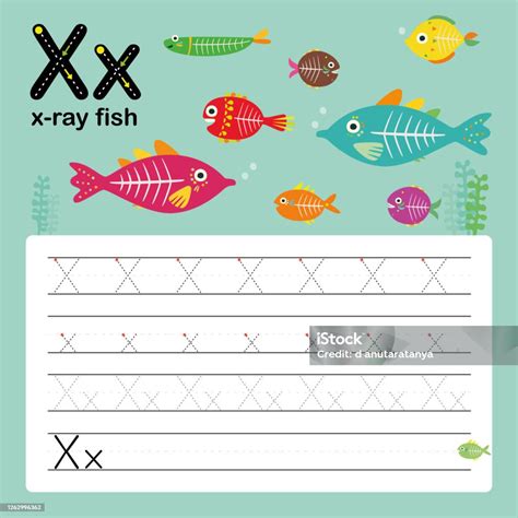 X 엑스레이 물고기 알파벳 은 기본 쓰기 능력을 향상시키기 위해 유치원과 유치원에 대한 워크 시트를 추적 벡터 삽화 개체 그룹에 대한 스톡 벡터 아트 및 기타 이미지