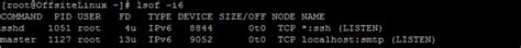 Using Lsof 10 Essential Commands To Troubleshoot Your Linux Server