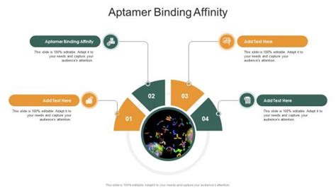 Binding Affinity Powerpoint Presentation And Slides Ppt Template