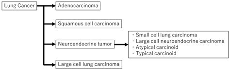 A Novel Strategy For The Diagnosis Of Pulmonary High Grade