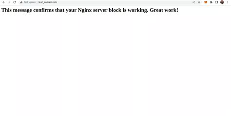 Getting Started With Nginx On Linux A Complete Tutorial Arashtad