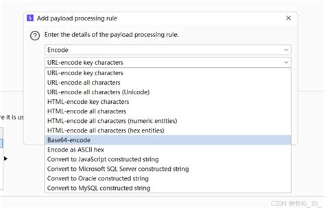 新手小白详解ctfhub技能树——web方向 Csdn博客