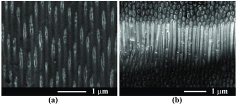 Sem Images In Cross Section Of Pt Nanotubes In Semiconductor Inp