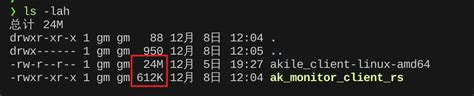 GitHub GenshinMinecraft ak monitor client rs 第三方 Akile Monitor Agent
