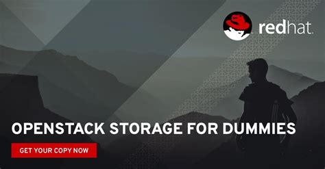 Openstack Storage For Dummies Outlines Openstack And Ceph Basics And Configuration Best