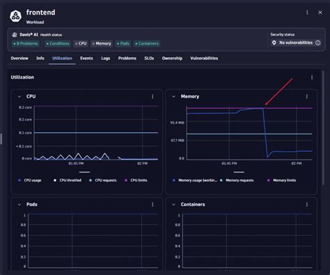 Troubleshoot Common Health Problems Of Kubernetes Workloads — Dynatrace Docs