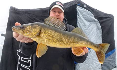 Early Season Walleye Ice Tips Northland Fishing Tackle