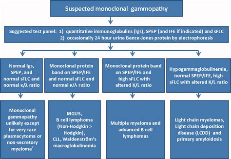 Multiple Myeloma Lambda Light Chain Type Americanwarmoms Org