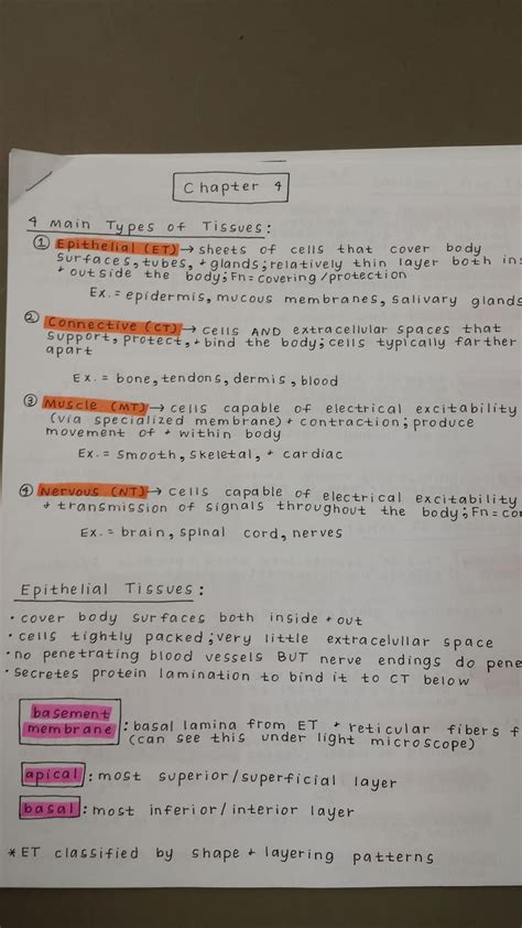 1000 Images About Handwriting Notes Journals On Pinterest Hand Writing Pretty Handwriting