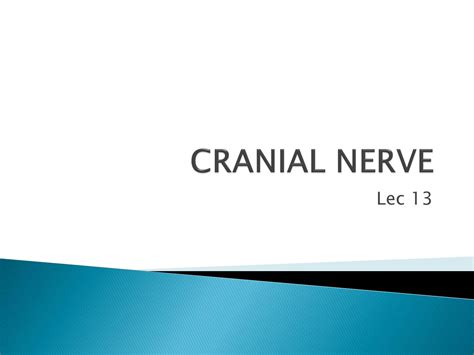 SOLUTION 10 Cranial Nerve Studypool