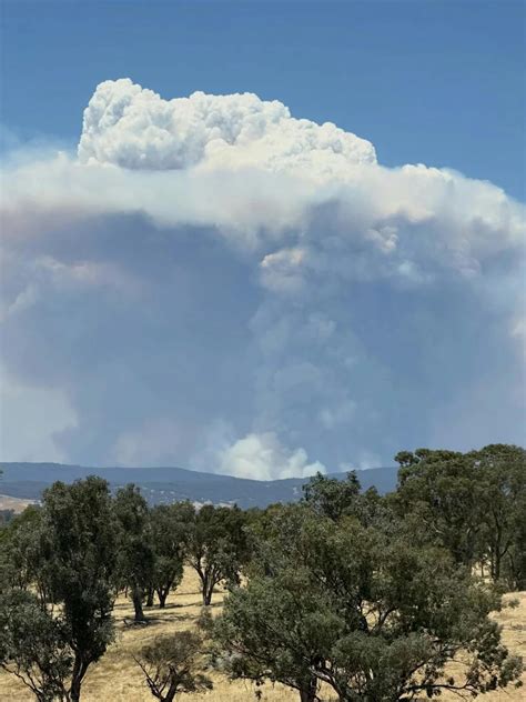 When Bushfires Make Their Own Weather Yahoo News Australia