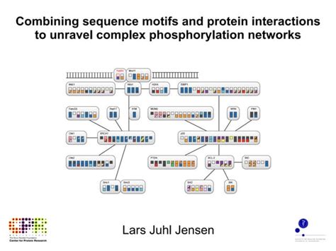 Combining Sequence Motifs And Protein Interactions To Unravel Complex Phosphorylation Networks Ppt
