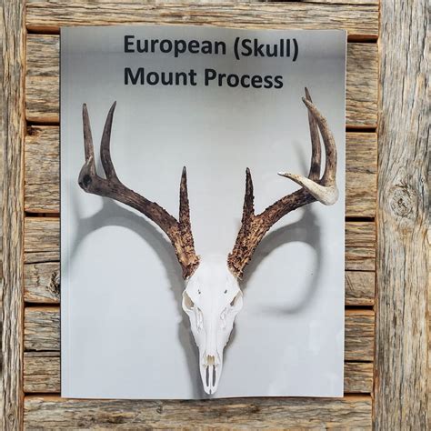 European Skull Mount Process The Footed Shaft