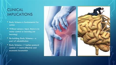 How Important Is The Sensory Input For Our Motor Control And Motor