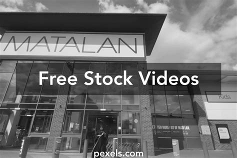 Vidiobostwtuamainbrondong Videos Download The Best Free 4k Stock